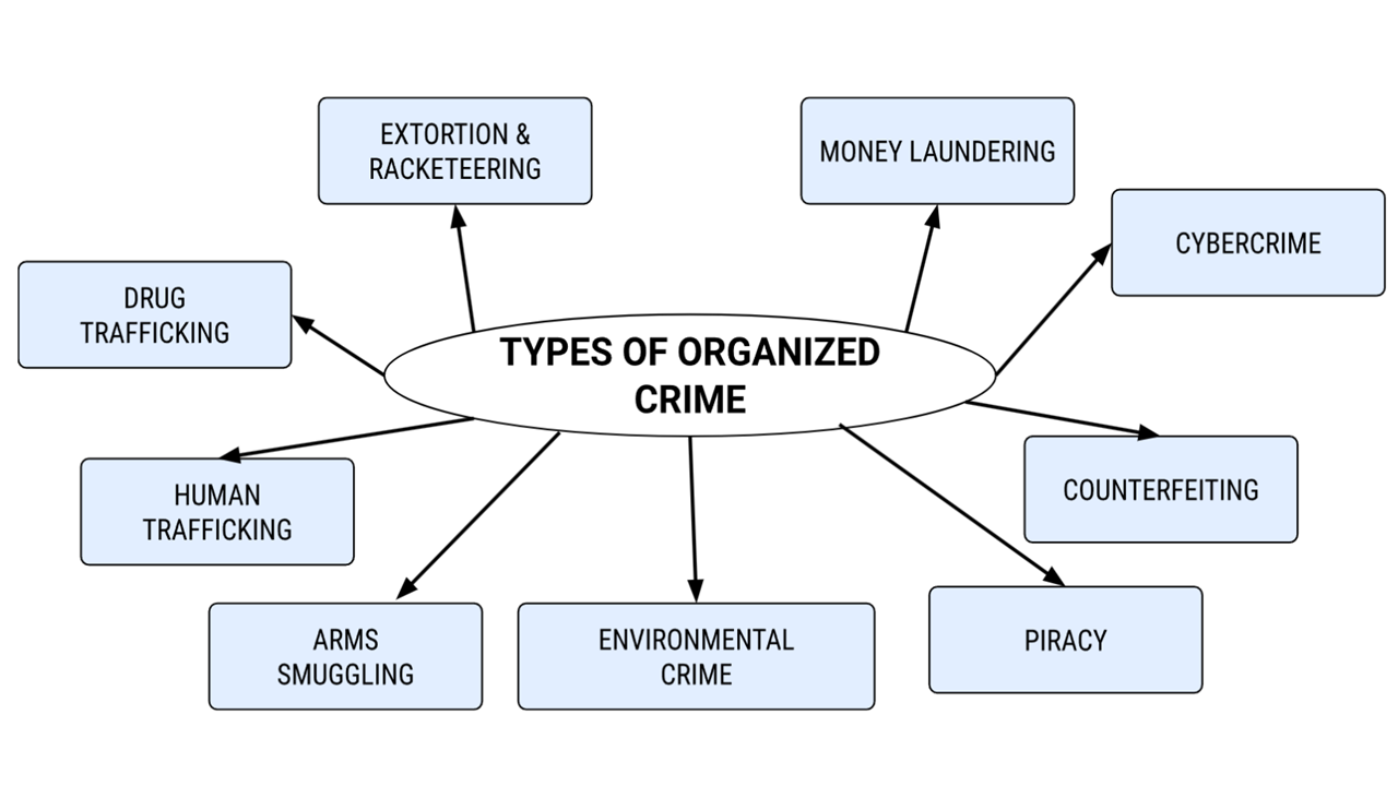 B.1. What are organized crimes?